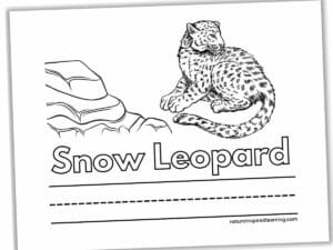 Snow Leopard Coloring Pages - Nature Inspired Learning