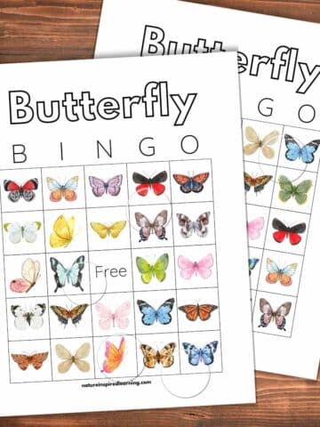 12 Printable Bingo Games for Young Kids - Nature Inspired Learning