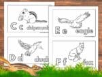 Animal Alphabet Printables - Nature Inspired Learning