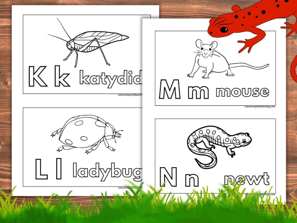 Animal Alphabet Printables - Nature Inspired Learning