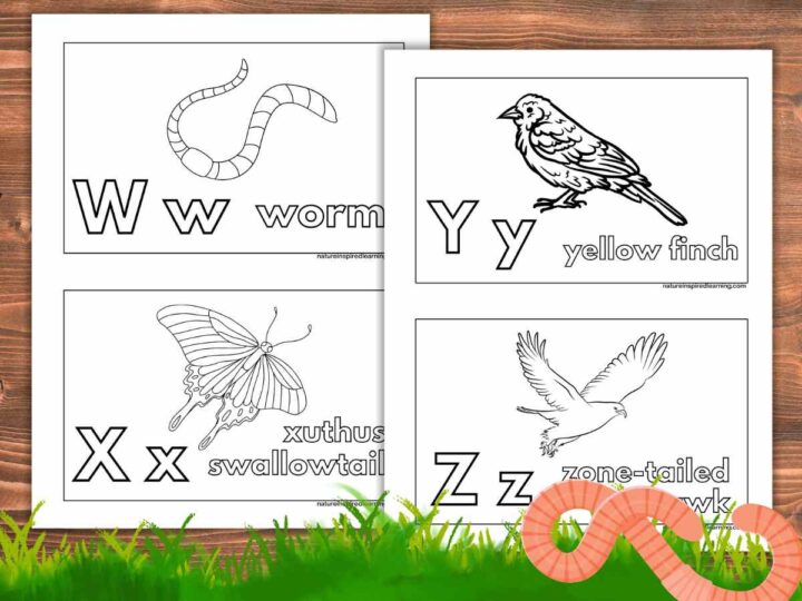 Animal Alphabet Printables - Nature Inspired Learning