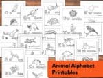 Animal Alphabet Printables - Nature Inspired Learning