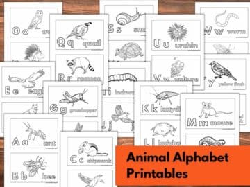 Animal Alphabet Printables - Nature Inspired Learning