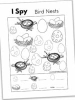 4 Bird I Spy Printables - Nature Inspired Learning
