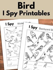 4 Bird I Spy Printables - Nature Inspired Learning