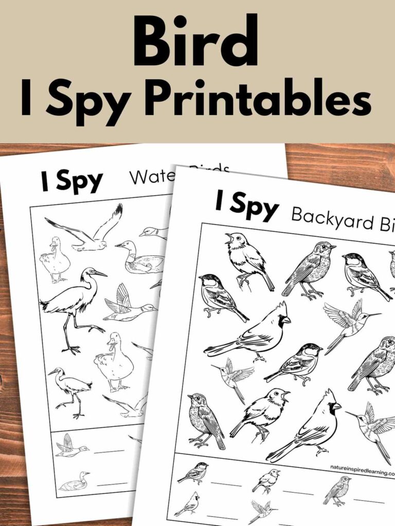 4 Bird I Spy Printables - Nature Inspired Learning