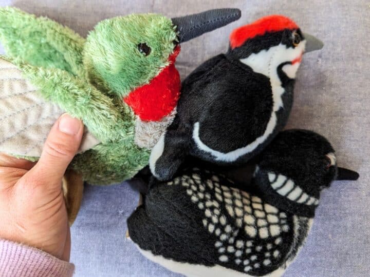 Bird Themed Gifts and Toys for Kids - Nature Inspired Learning