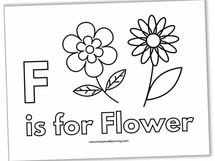 Beautiful Flower Coloring Pages - Nature Inspired Learning
