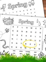 Insect Word Searches - Nature Inspired Learning