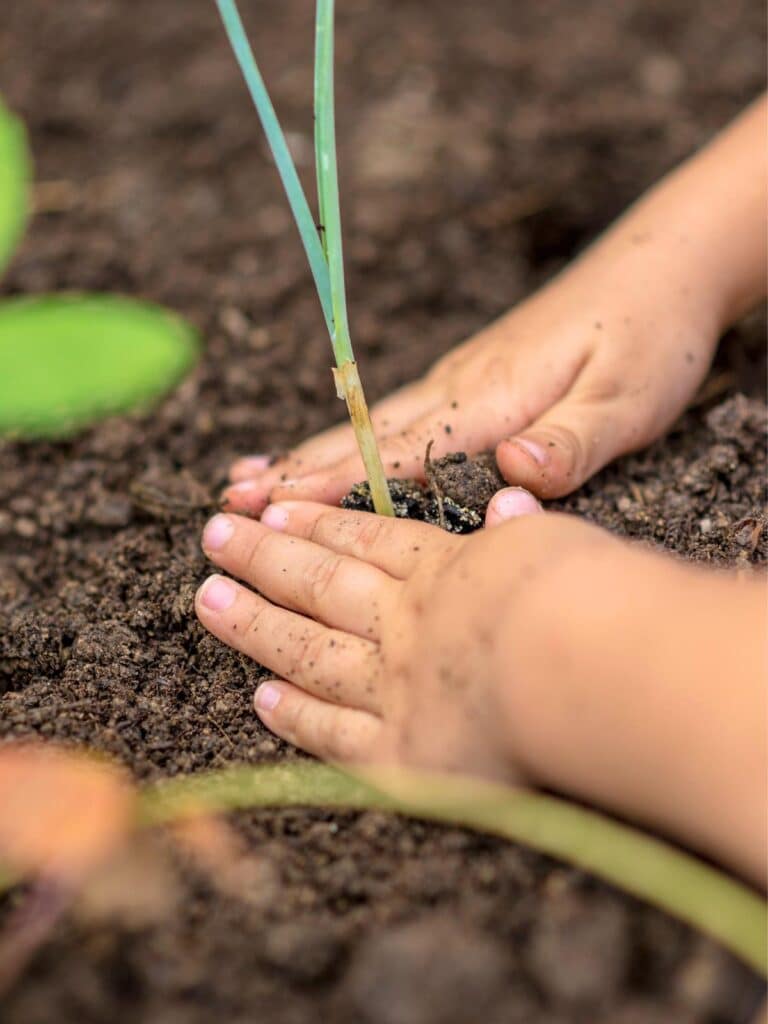 50 + Garden Activities for Young Kids - Nature Inspired Learning