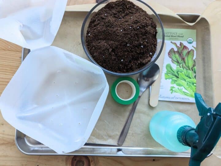 50 + Garden Activities for Young Kids - Nature Inspired Learning