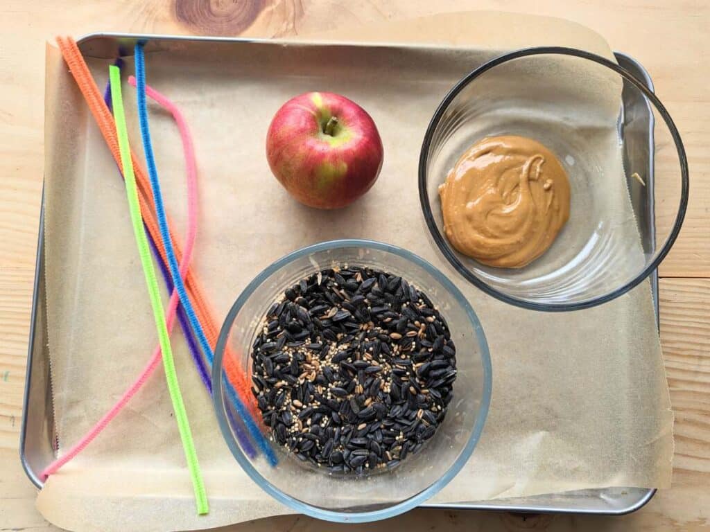 Apple Bird Feeder - Nature Inspired Learning