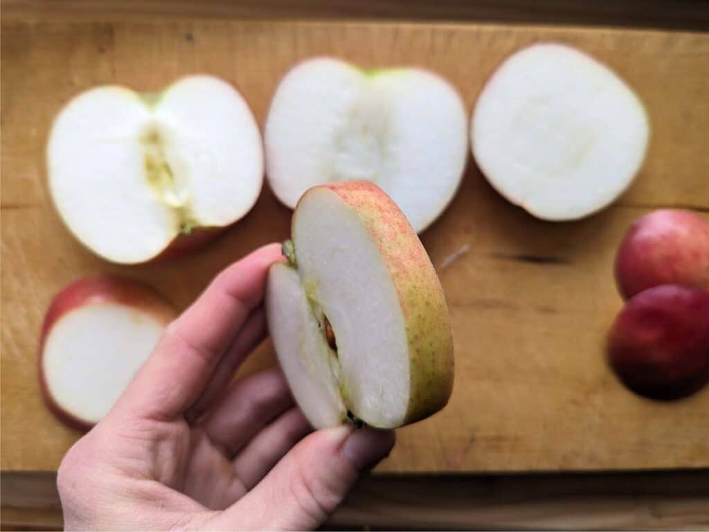 Apple Bird Feeder - Nature Inspired Learning