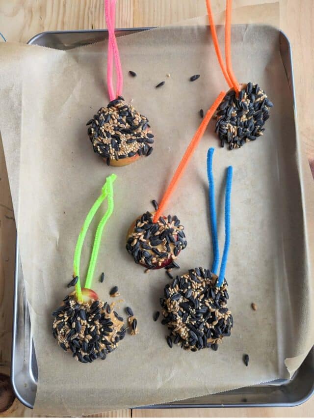 Apple Bird Feeder - Nature Inspired Learning