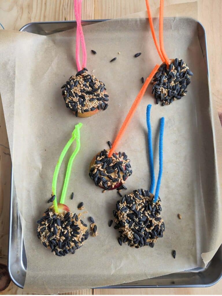 Apple Bird Feeder - Nature Inspired Learning