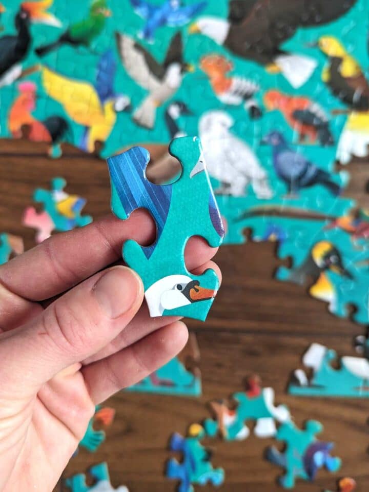 12 Bird Activities - Nature Inspired Learning