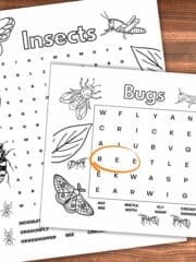 The Best Insect Flashcards - Nature Inspired Learning