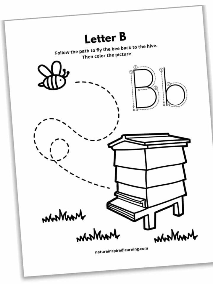 Letter B Worksheets - Nature Inspired Learning