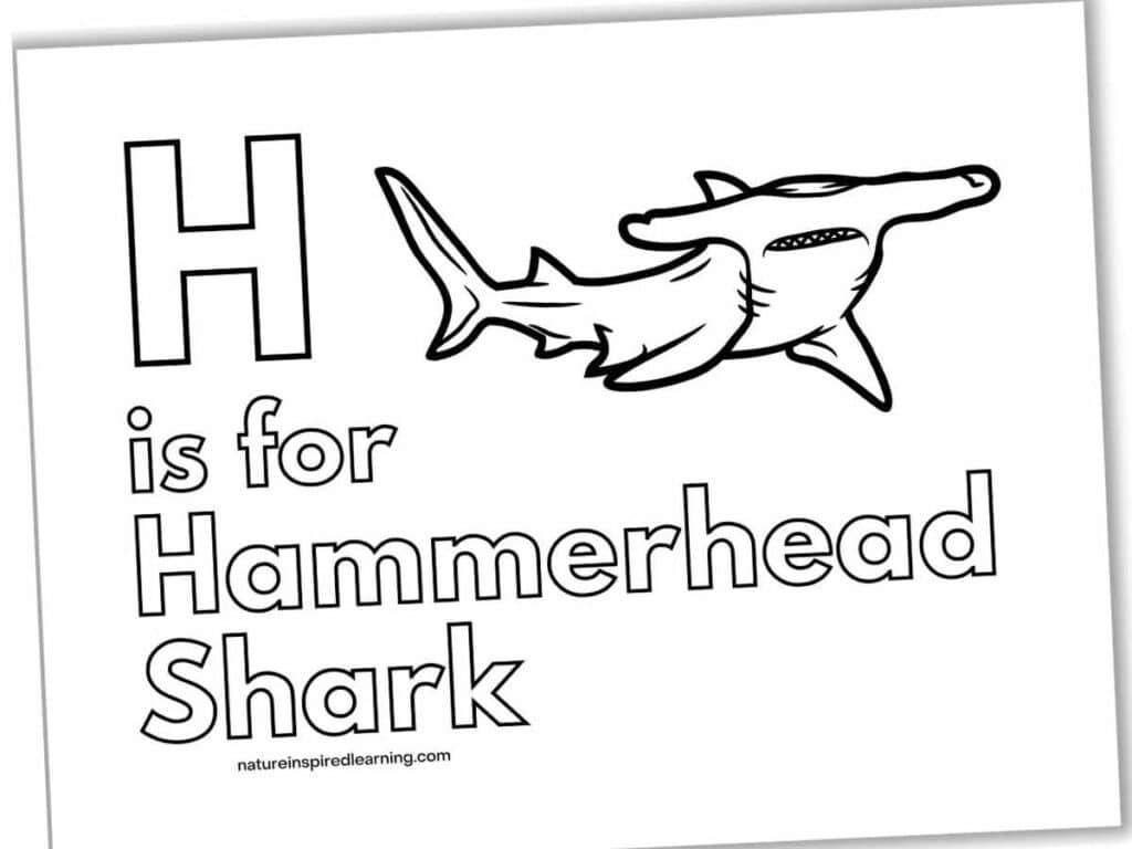 Hammerhead Shark Coloring Pages - Nature Inspired Learning