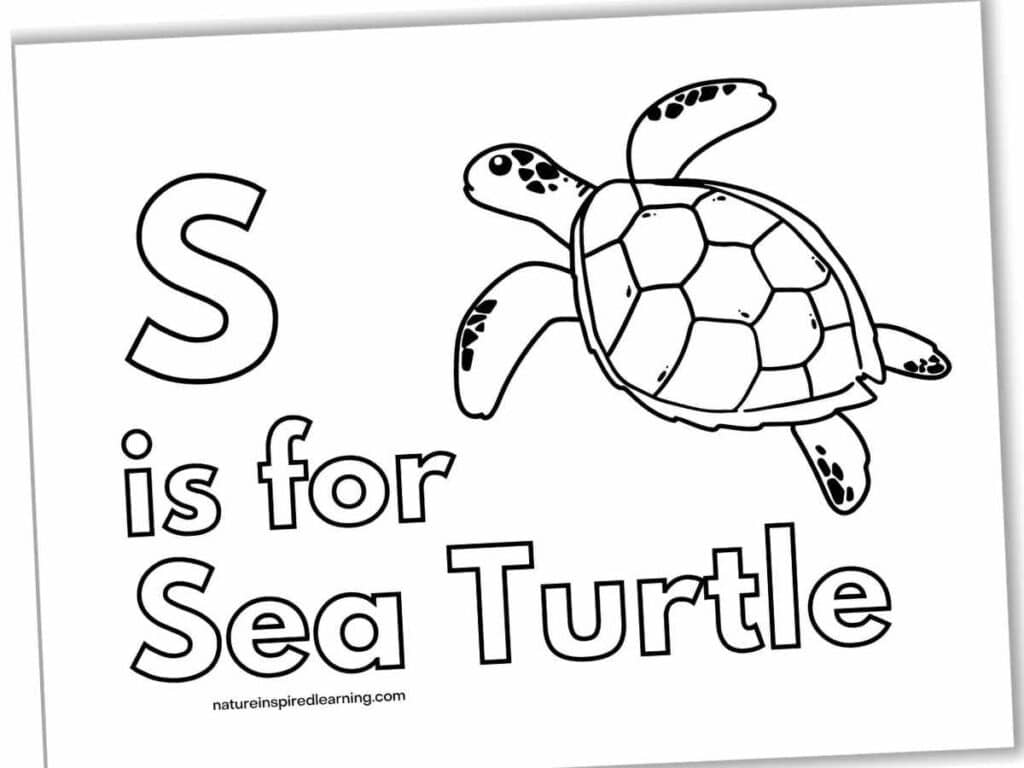 Beautiful Sea Turtle Coloring Pages - Nature Inspired Learning