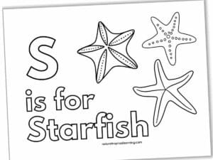 Starfish Coloring Pages - Nature Inspired Learning