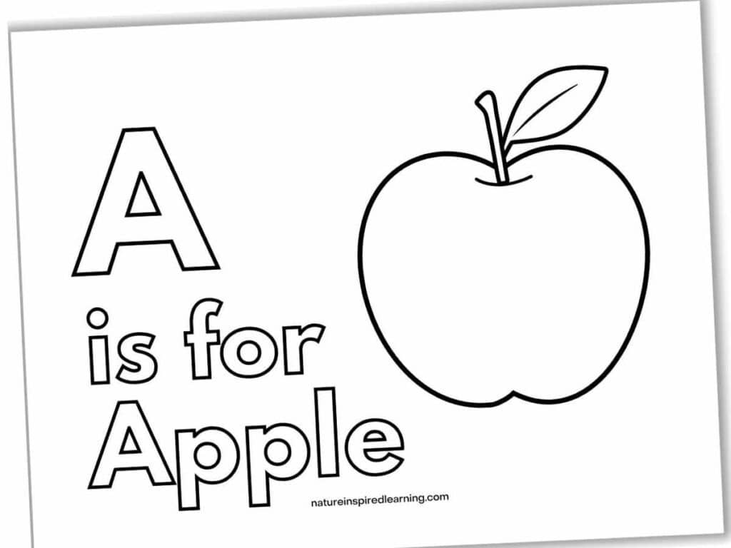 Apple Coloring Pages - Nature Inspired Learning