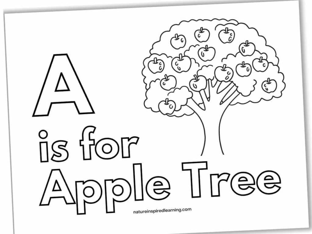 Apple Tree Coloring Pages - Nature Inspired Learning