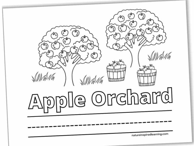 Apple Tree Coloring Pages - Nature Inspired Learning