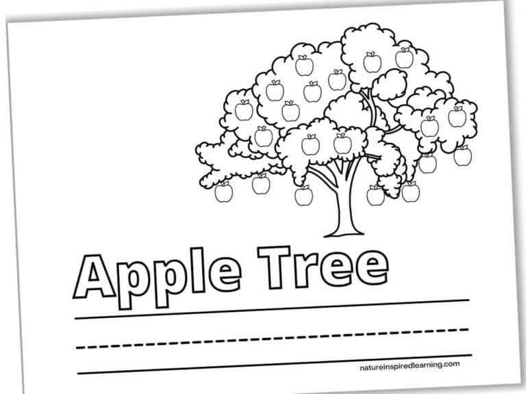 Apple Tree Coloring Pages - Nature Inspired Learning