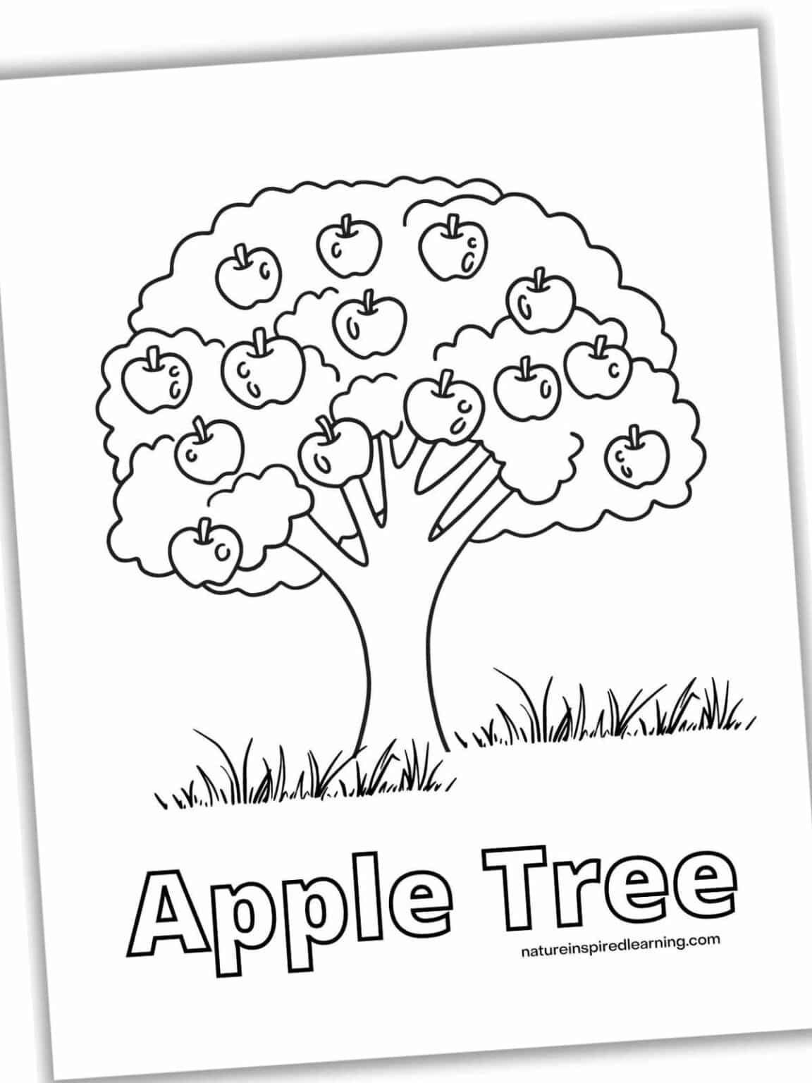 Apple Tree Coloring Pages - Nature Inspired Learning