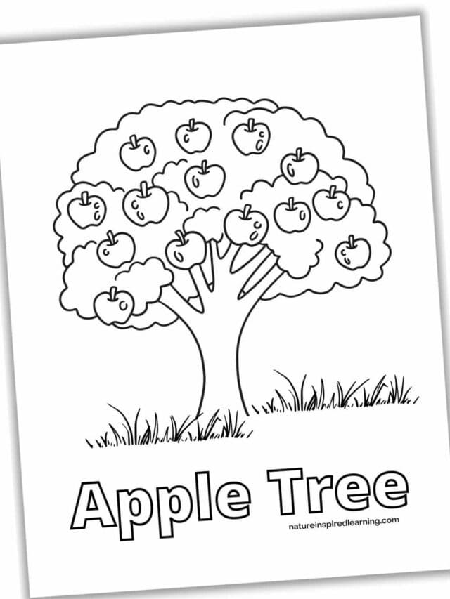 Apple Tree Coloring Pages - Nature Inspired Learning
