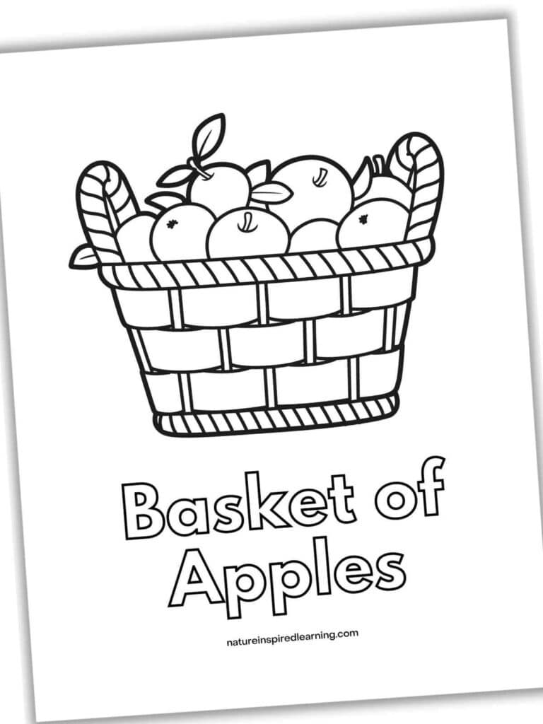 Apple Coloring Pages - Nature Inspired Learning