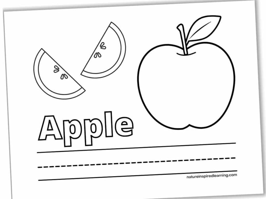 Apple Coloring Pages - Nature Inspired Learning