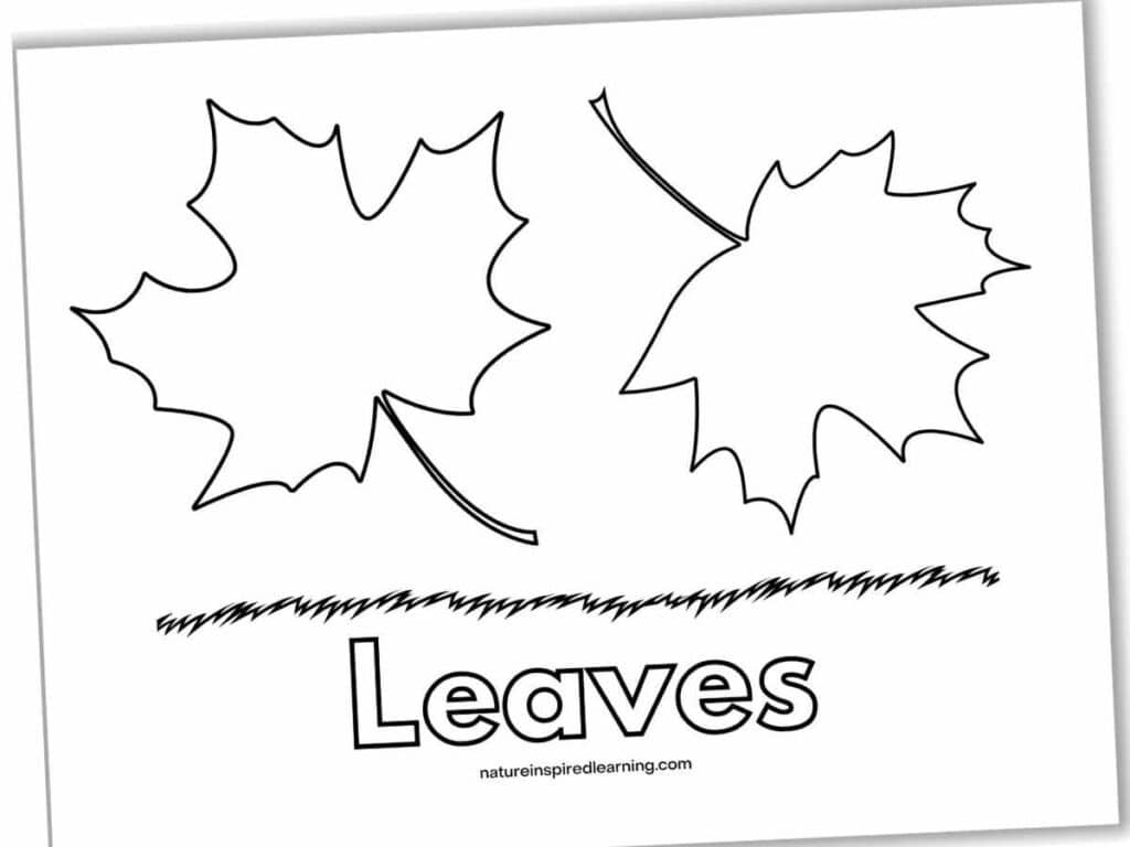 Leaf Coloring Pages - Nature Inspired Learning