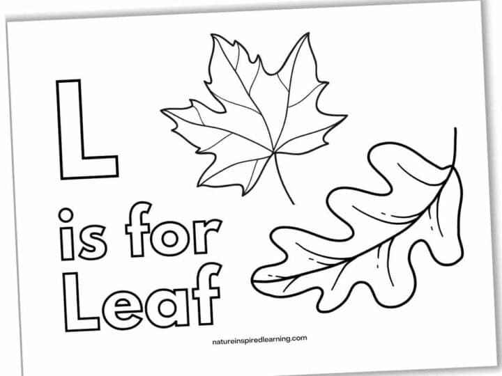 Leaf Coloring Pages - Nature Inspired Learning