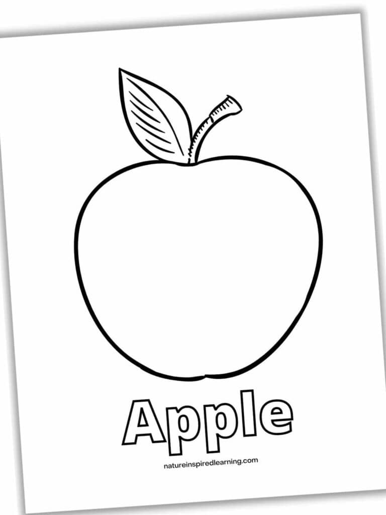 Apple Coloring Pages - Nature Inspired Learning