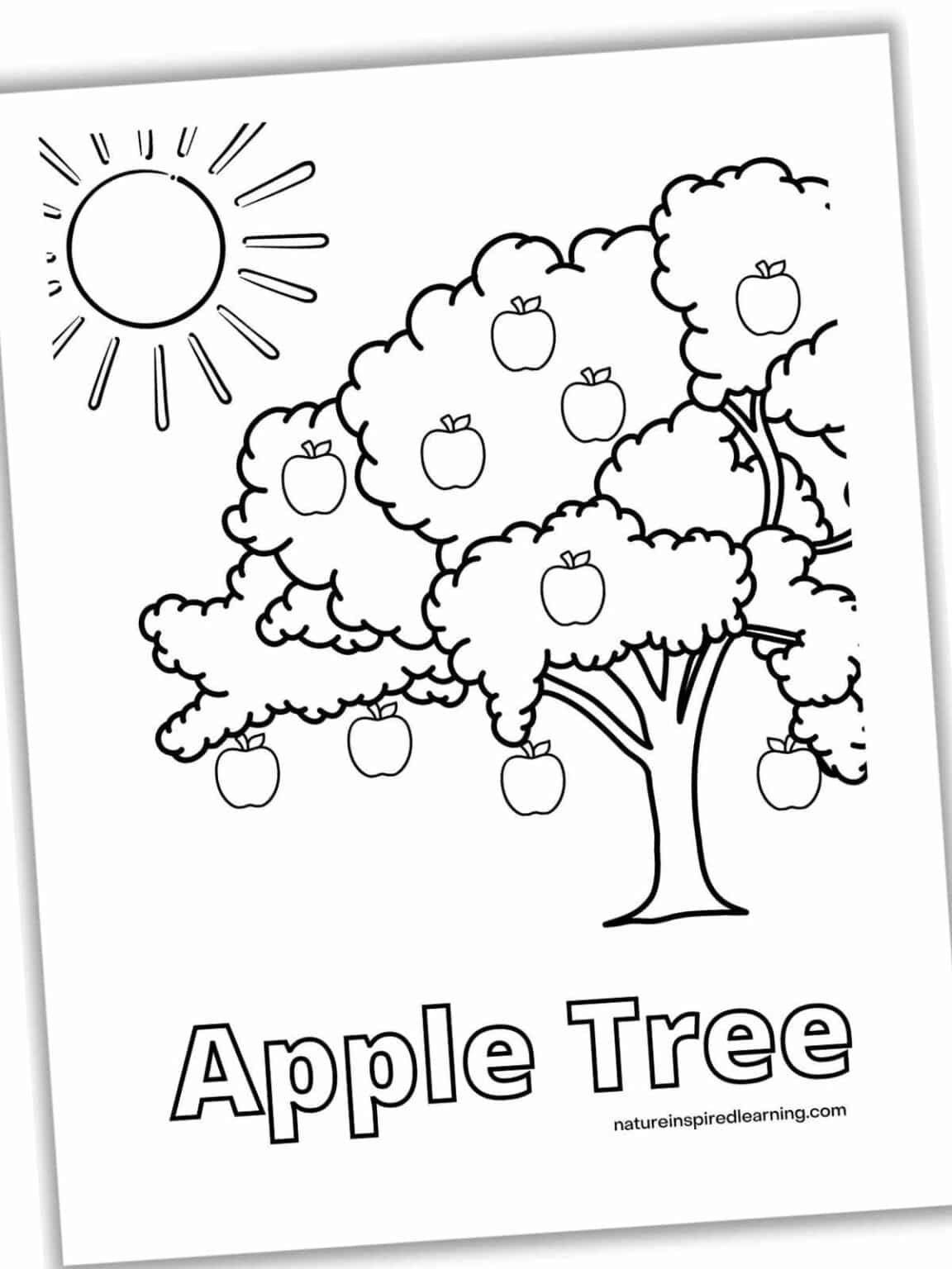 Apple Tree Coloring Pages - Nature Inspired Learning