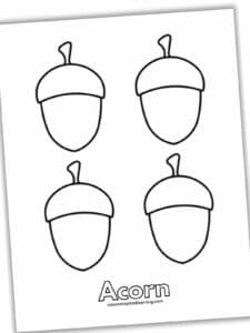 Acorn Coloring Pages - Nature Inspired Learning