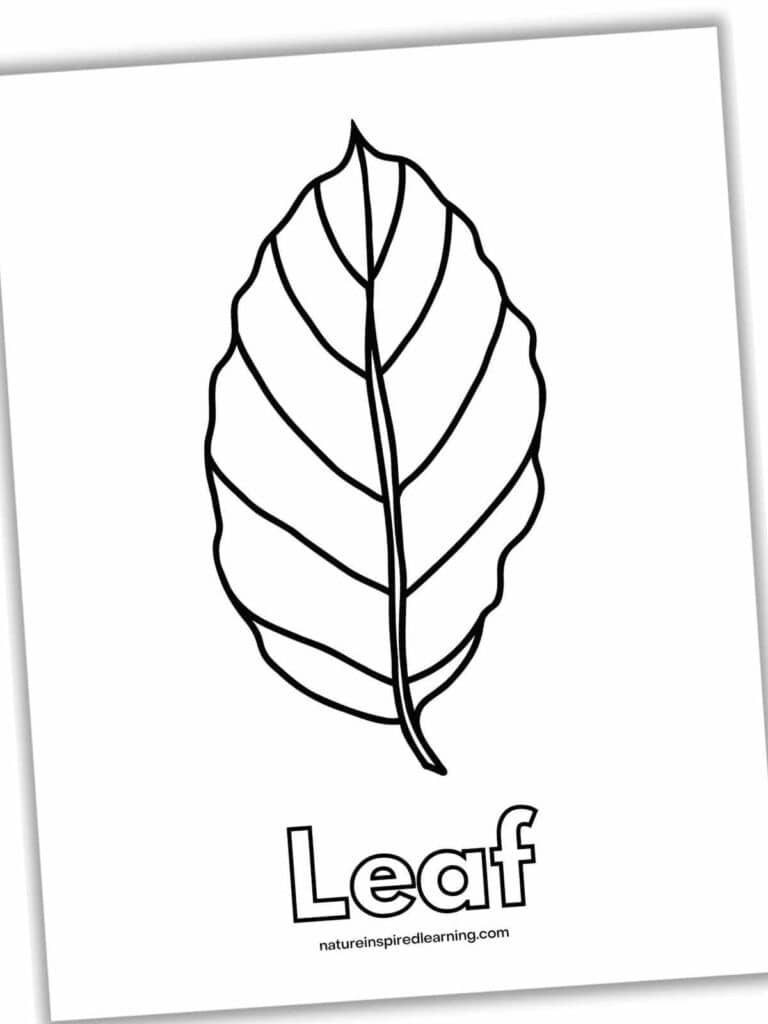 Leaf Coloring Pages - Nature Inspired Learning
