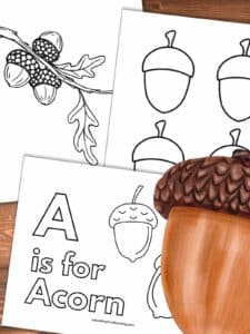 Acorn Coloring Pages - Nature Inspired Learning