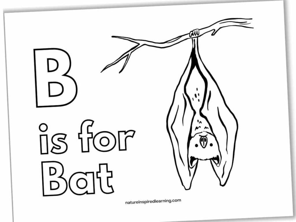 Bat Coloring Pages - Nature Inspired Learning