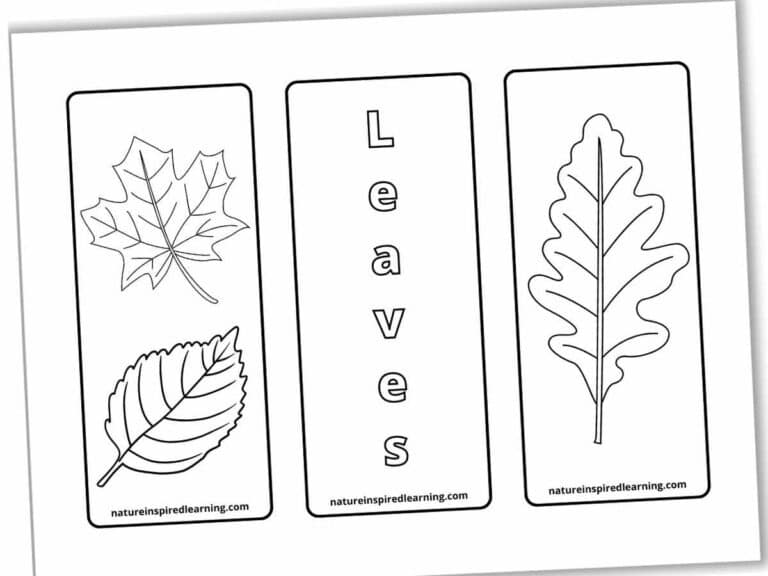 Fall Picture Books - Nature Inspired Learning
