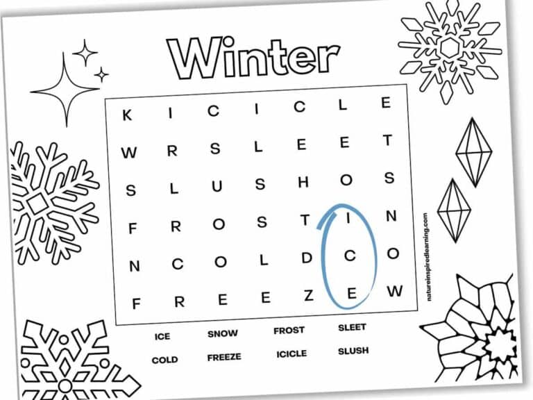 Winter Word Searches - Nature Inspired Learning