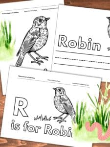 Robin Coloring Pages - Nature Inspired Learning