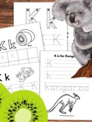Color Tracing Worksheets - Nature Inspired Learning