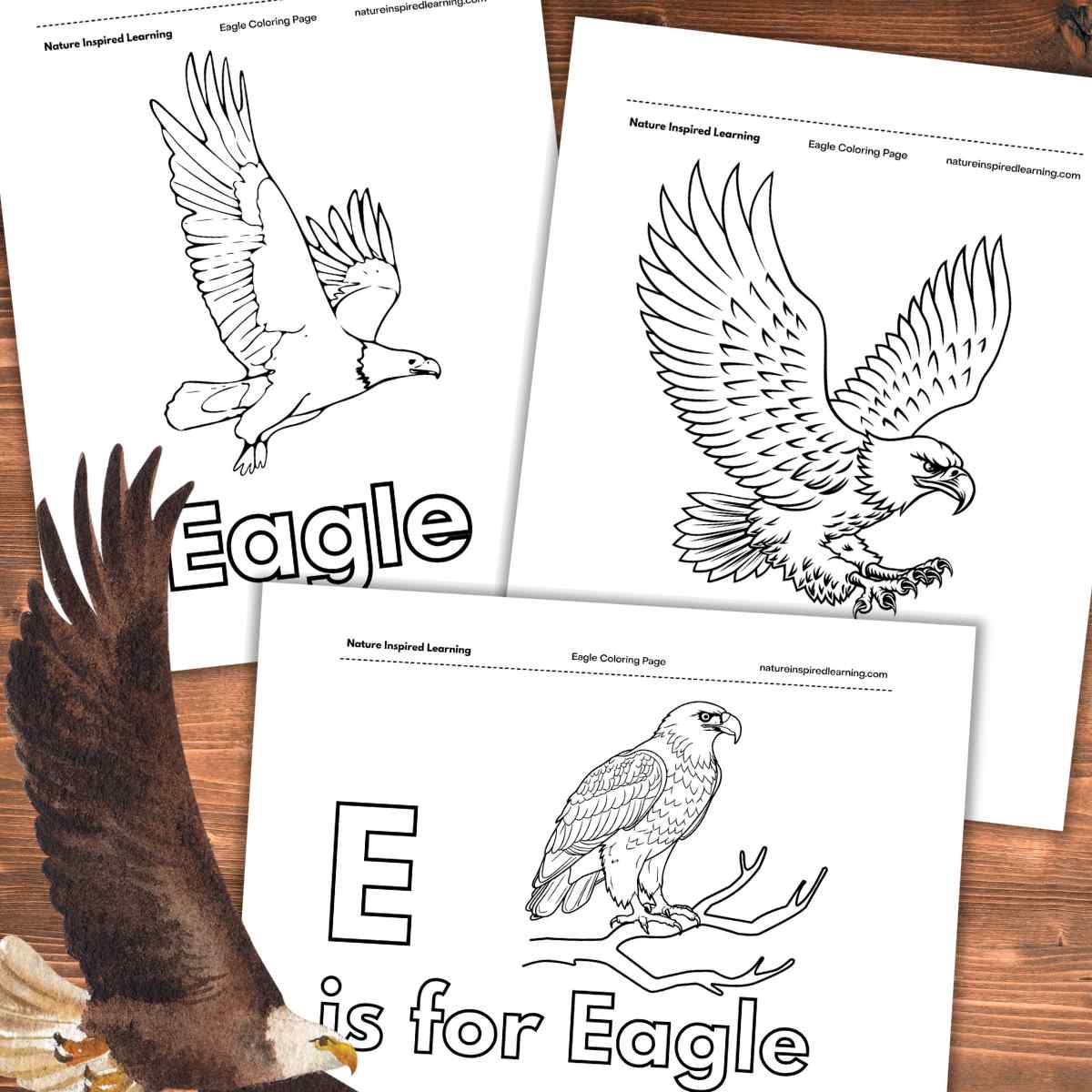 Snowflake Symmetry Worksheets - Nature Inspired Learning